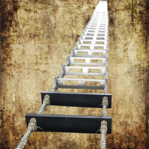 Embarkation Ladder - Pros Marine for Marine Safety Equipment